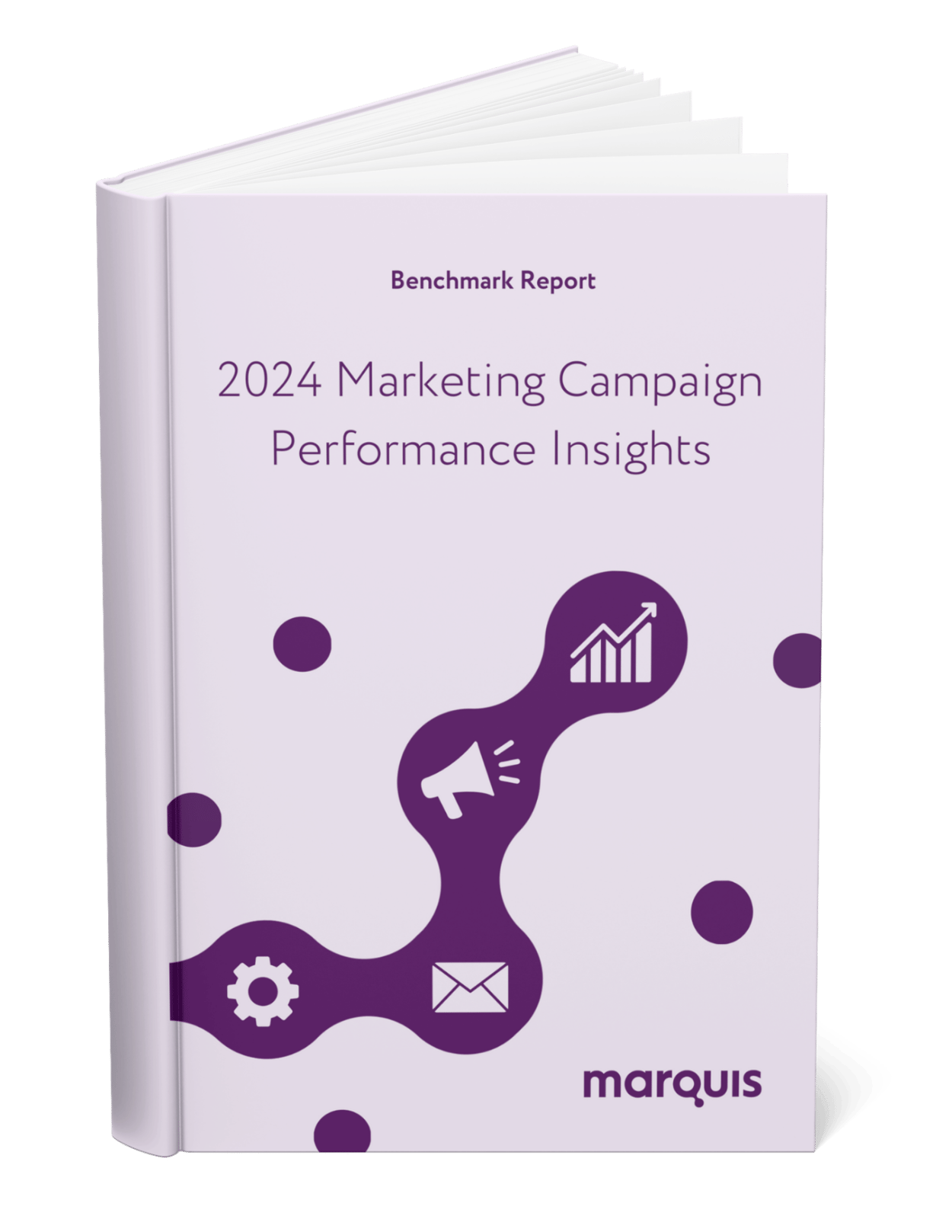 Marquis | 2024 Marketing Campaign Performance Insights